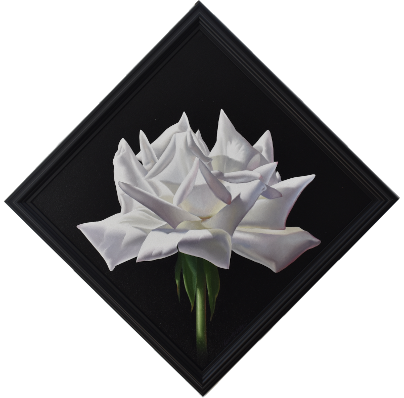 Ballet Tutu #4 | Loch Gallery