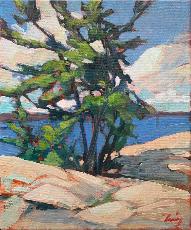 Rocks and Trees #4 | Loch Gallery