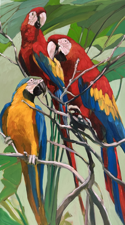 Three Parrots | Loch Gallery