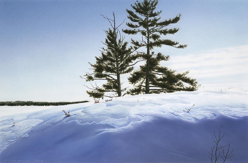 Pine Sentinels | Loch Gallery