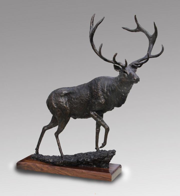 Foothills Monarch—Bull Elk | Loch Gallery